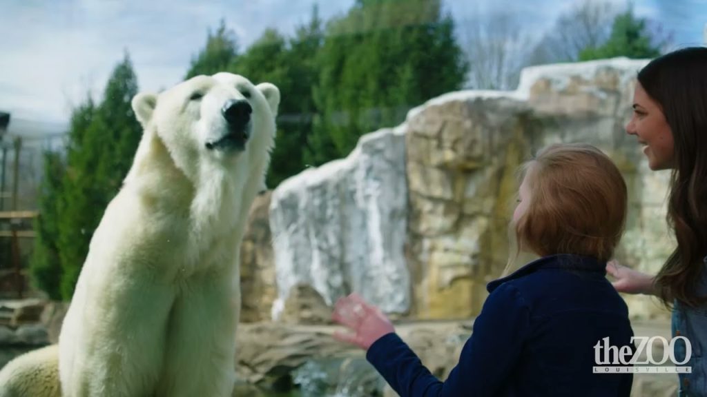 We Save Animals Together - Zoo Guide