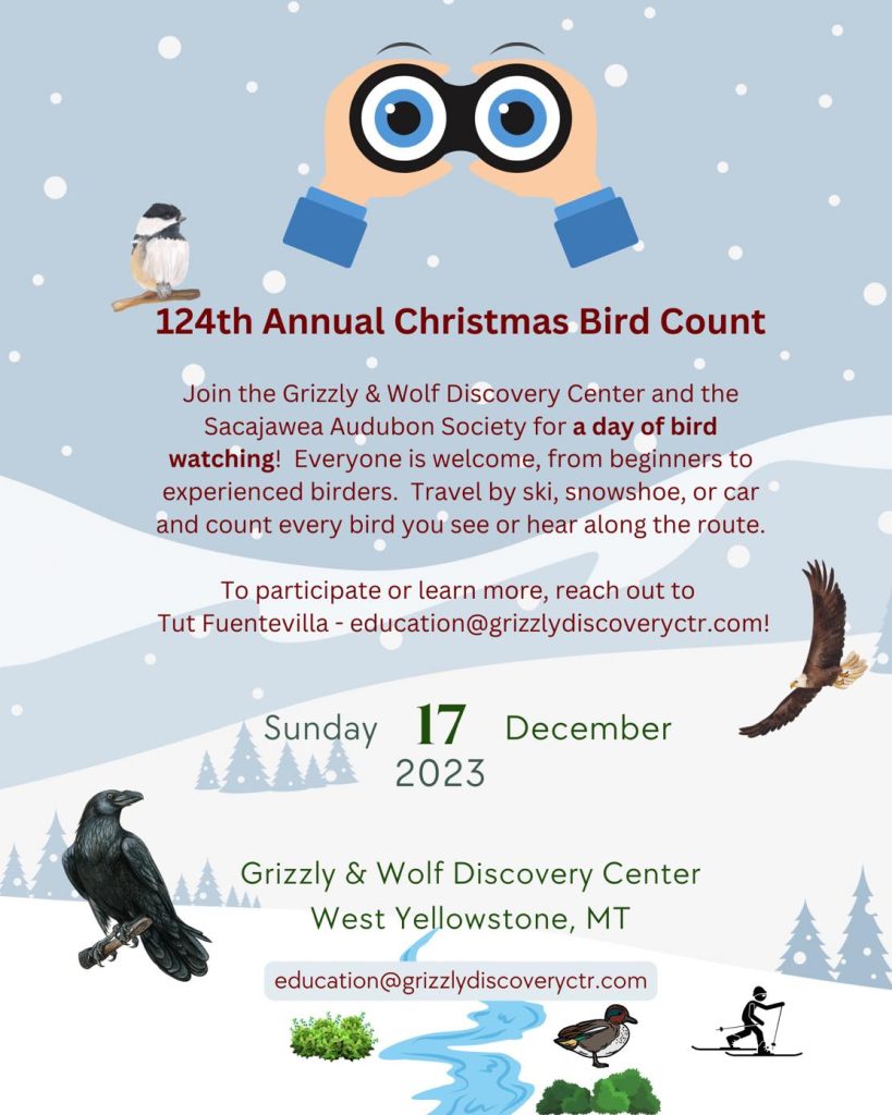 Participate In 124th Christmas Bird Count - Grizzly And Wolf Discovery ...