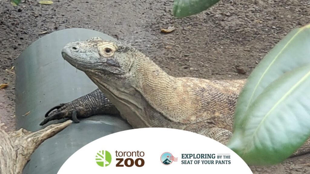 Toronto Zoo's Animal Enrichment - Toronto Zoo Zoo Guide