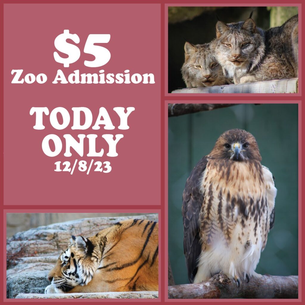 Friday Zoo Entry – Today Only! - Racine Zoo Zoo Guide