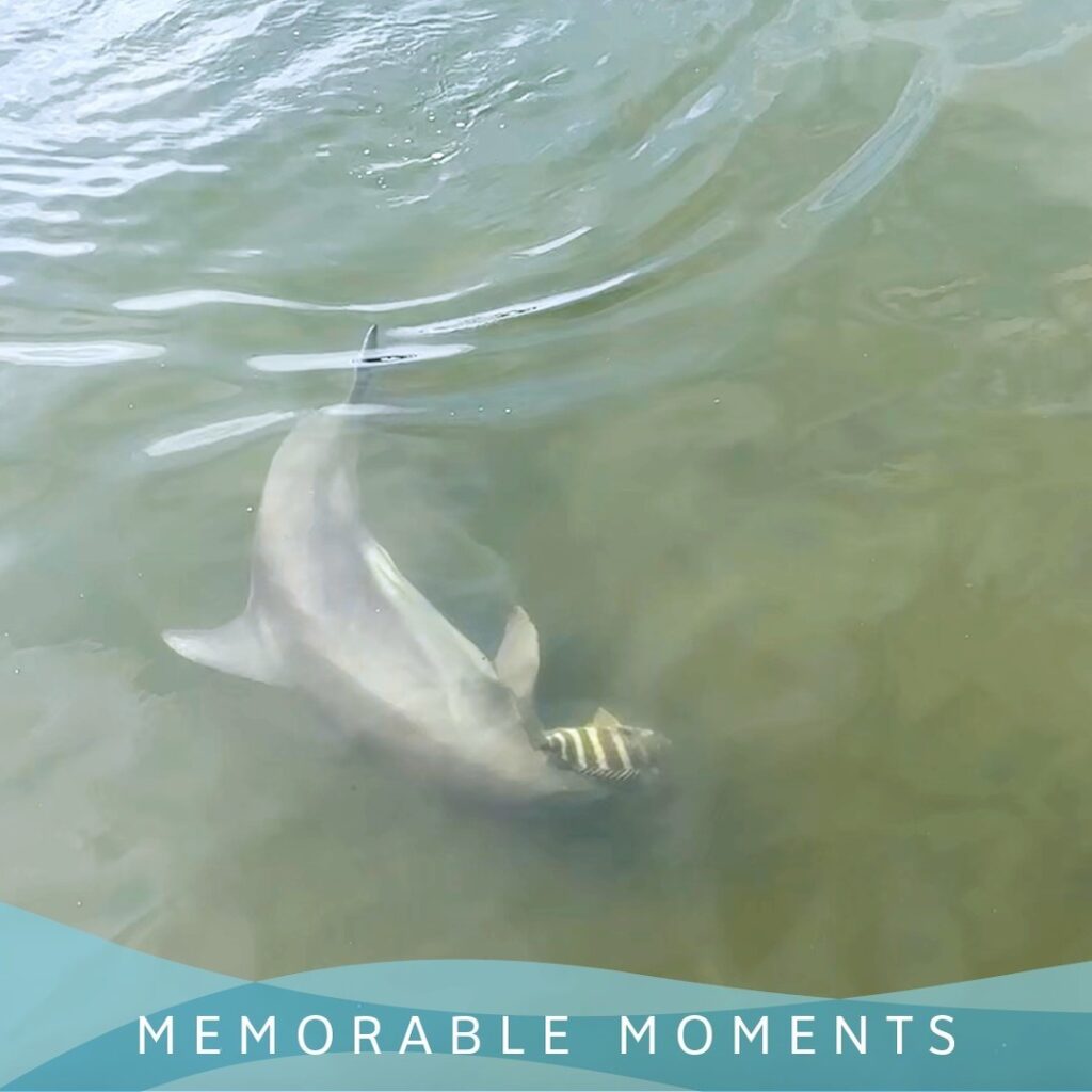 Recalling Boeing Learning Lab Groundbreaking - South Carolina Aquarium ...