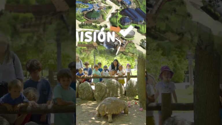 Temaikèn: Día De Diversión Natural - Zoos - Argentina Zoo Guide