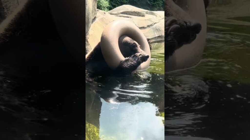 Animal Sound Description - Zoos - USA - Ohio - Akron Zoological Park ...