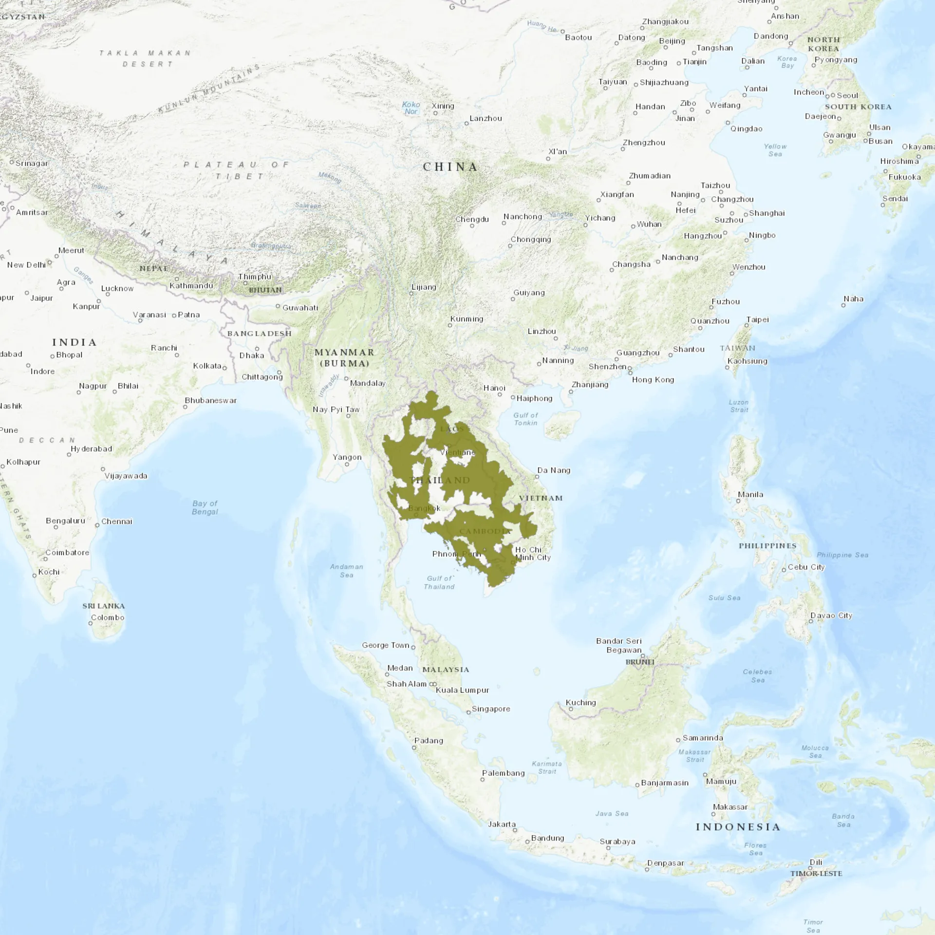Definitive Guide To Clown Featherback Facts, Habitat, Conservation ...