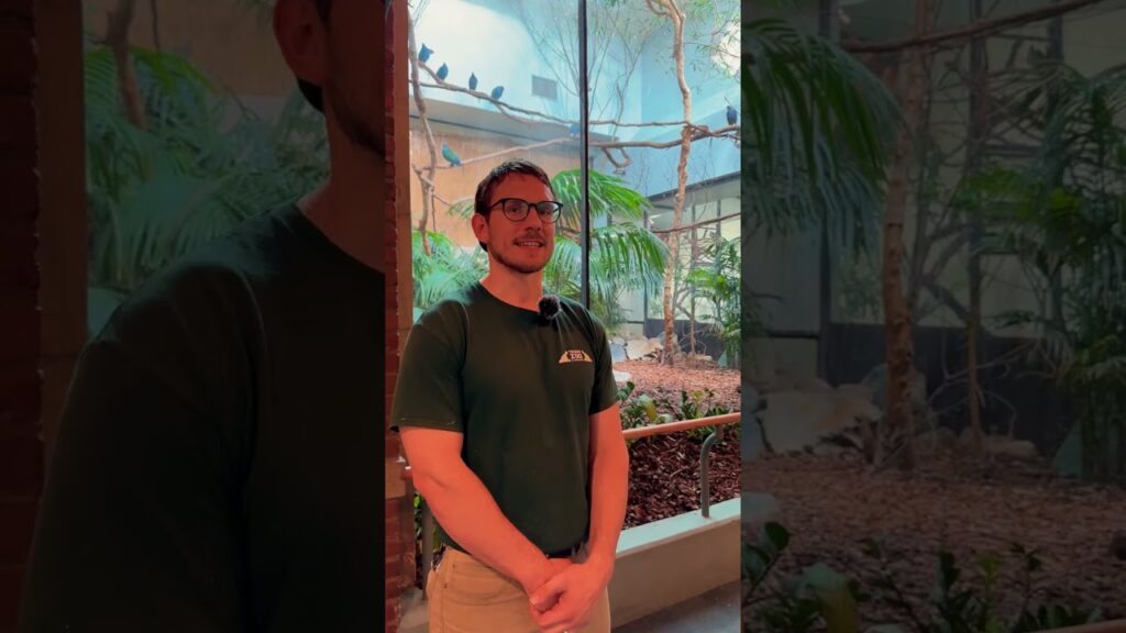 2023 Aviary Makeover - Zoos - USA - Ohio - Toledo Zoo Zoo Guide