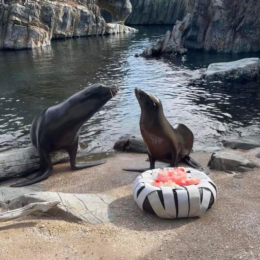 Honoring Hearts That Constantly Win Ours - Zoos - USA - Nebraska ...