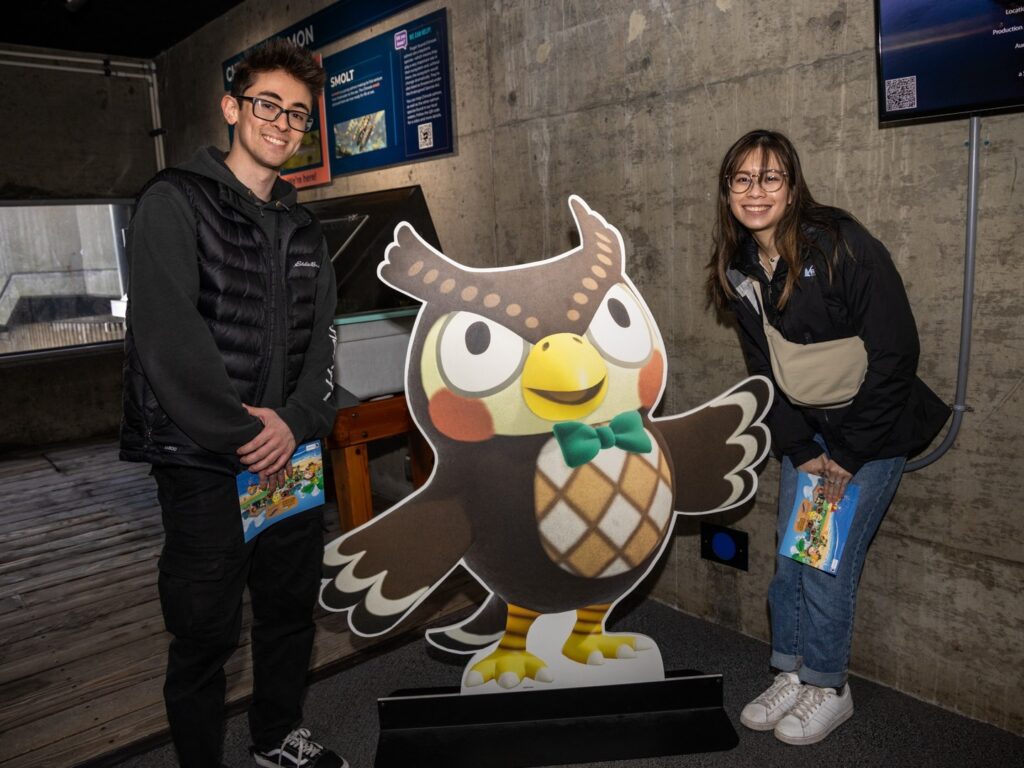 Animal Crossing Stamp Rally Event - Zoo Guide