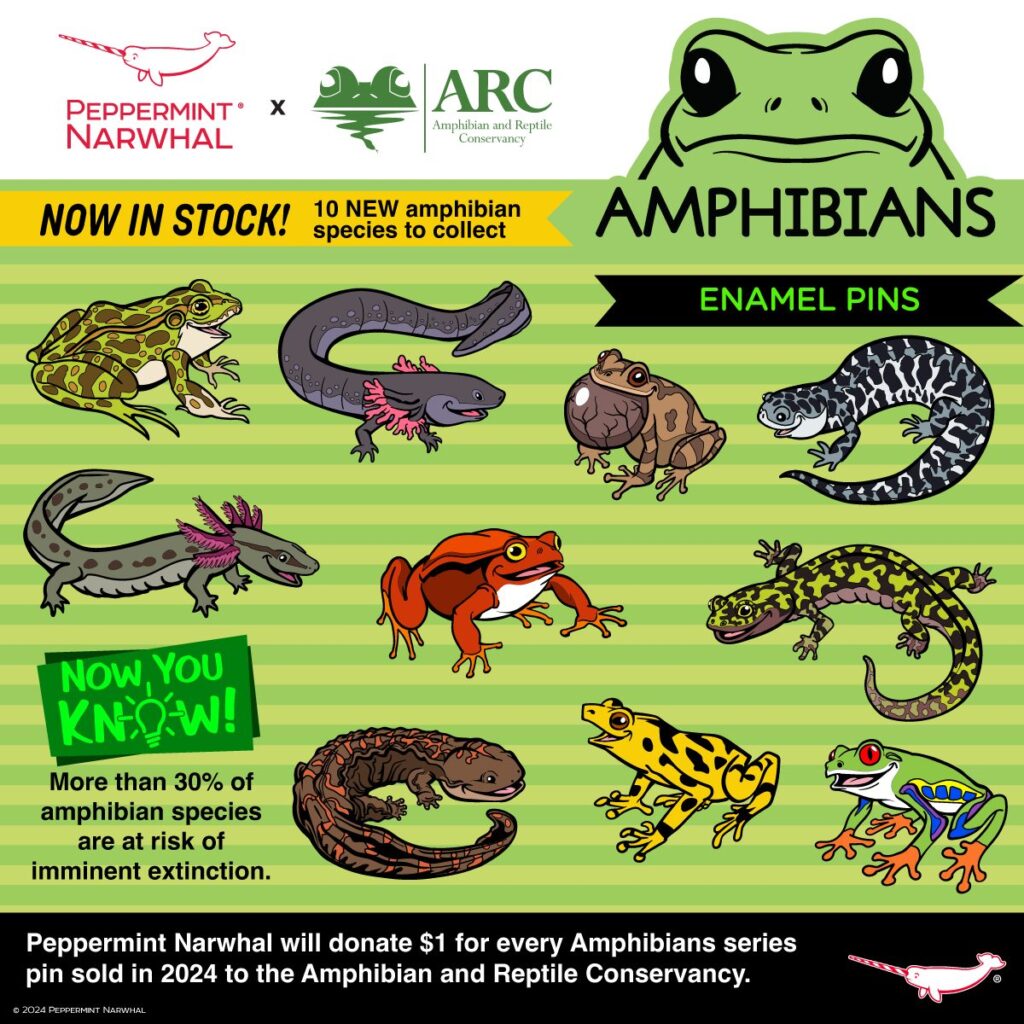 Peppermint Narwhal + ARC Amphibian Pins Available! - Zoo / Animal ...