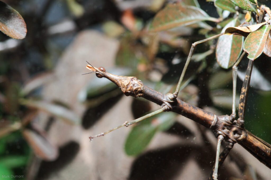 Apply For 2024 IECC Scholarship Now! - Zoos - USA - Ohio - Cincinnati ...