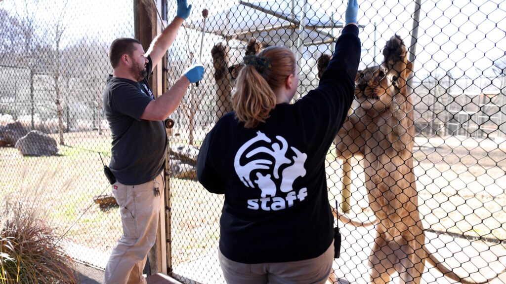New Animal Encounters Program! - Zoo Knoxville Zoo Guide