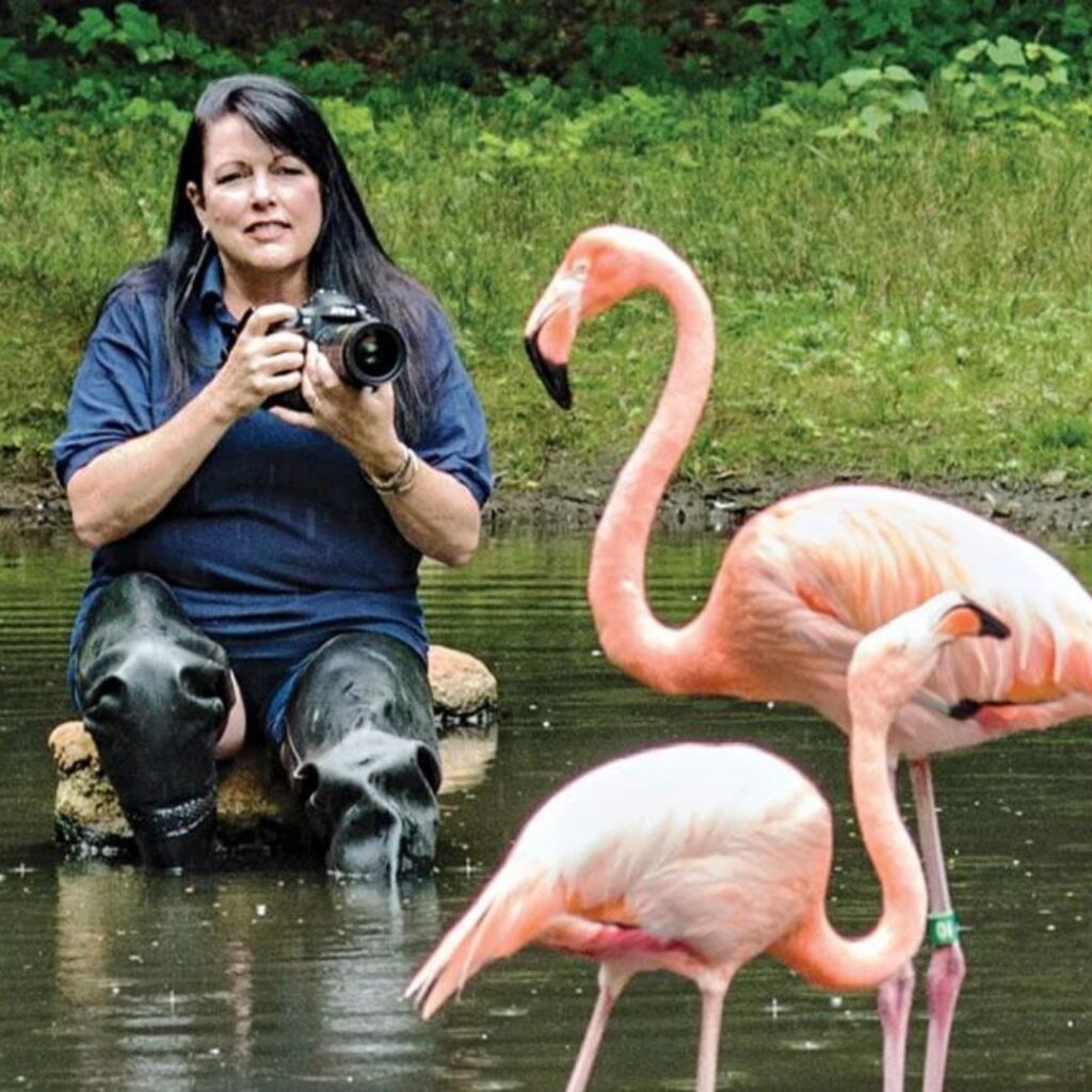 Celebrating Legacy Of Former WCS Photographer - Bronx Zoo Zoo Guide