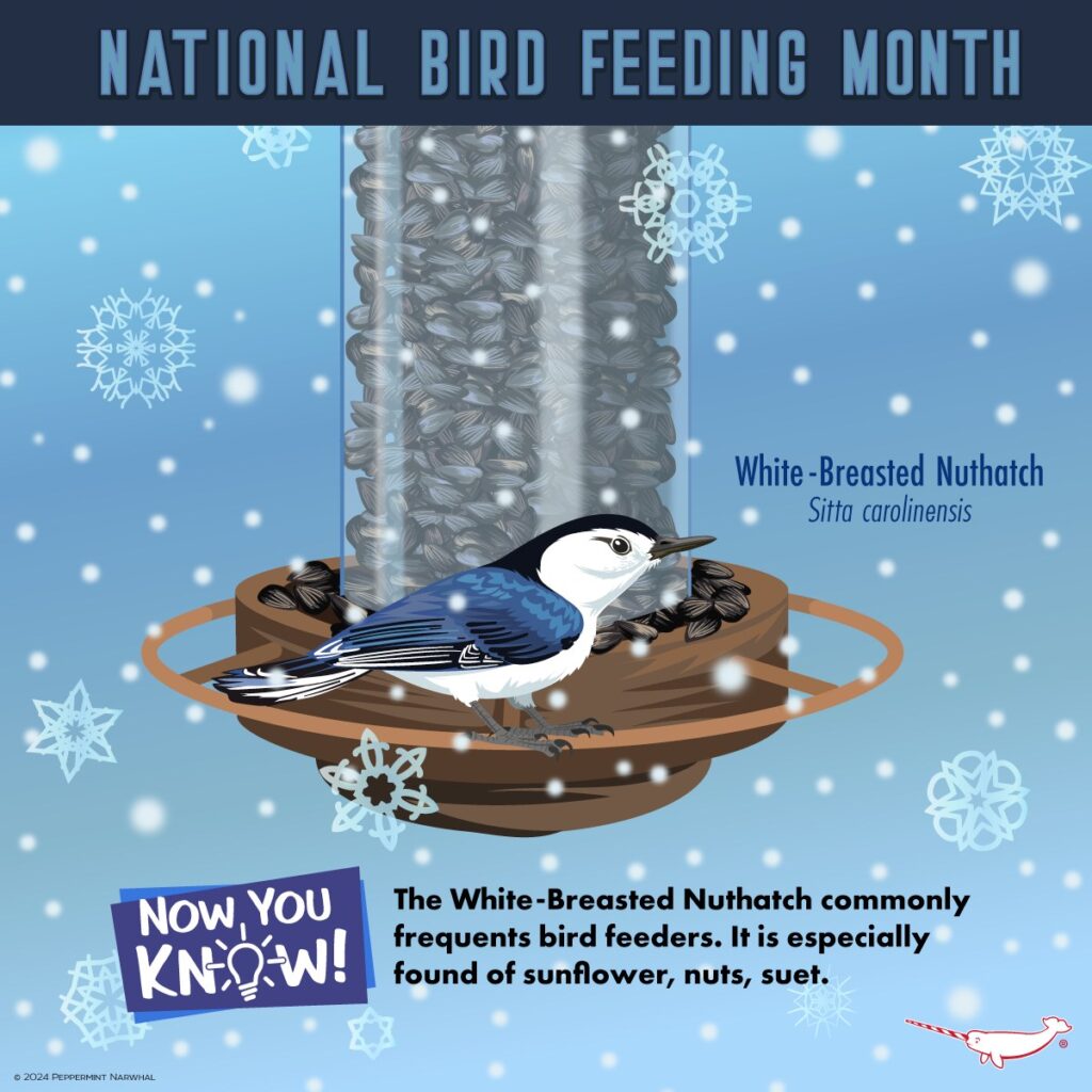 February: National Bird Feeding Month - Zoo / Animal Special Days ...