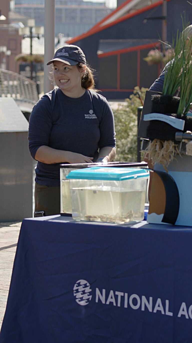Biohut: Understanding Aquatic Habitats - Zoos - USA - Washington DC ...