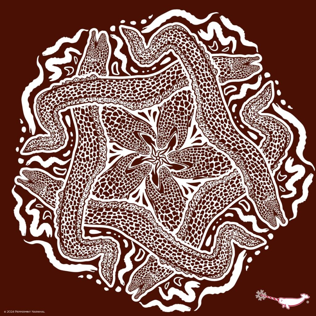 Understanding The Laced Moray Eel - Zoo / Animal Special Days & Events ...