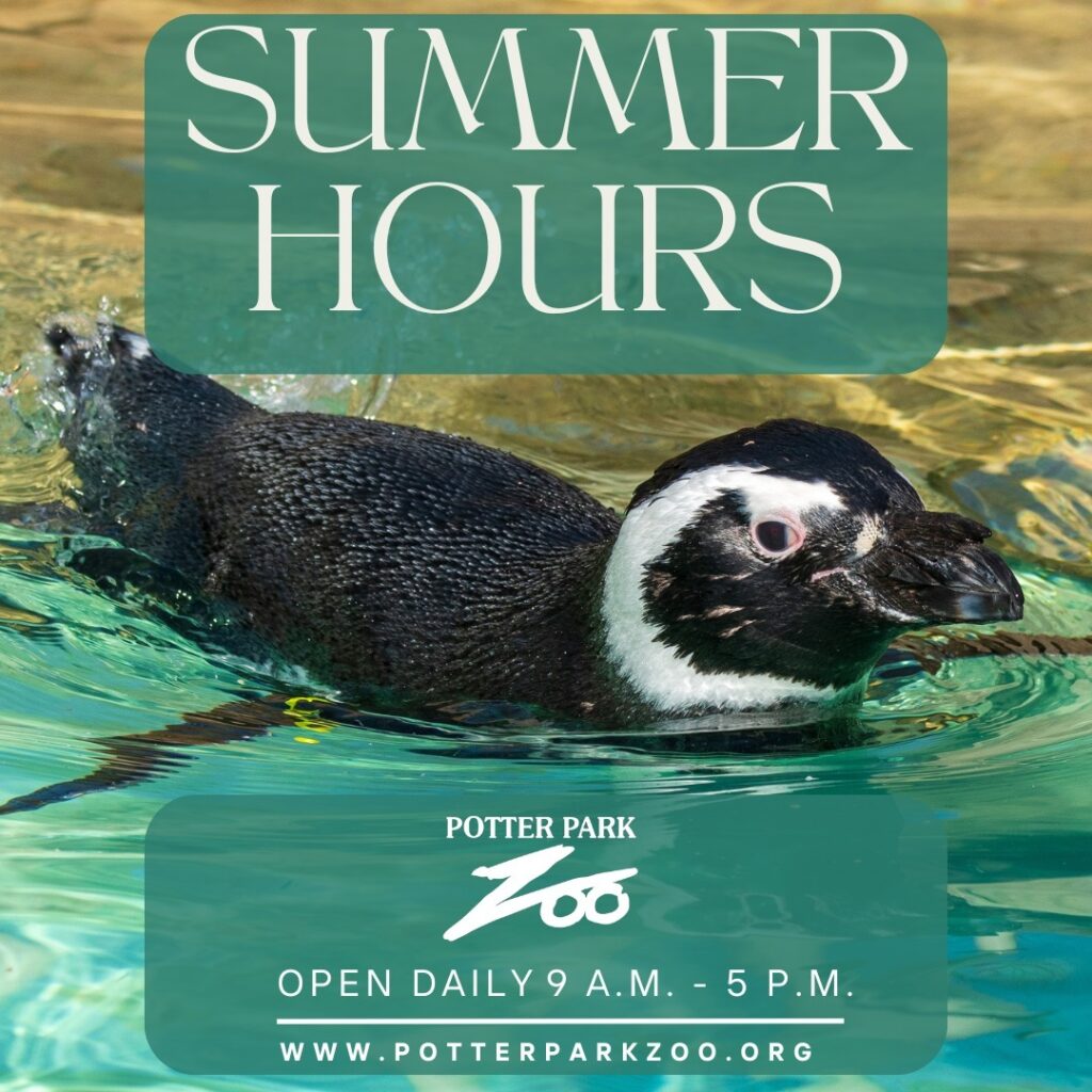 Summer Hours Begin Today - Zoos - USA - Michigan - Potter Park Zoo ...