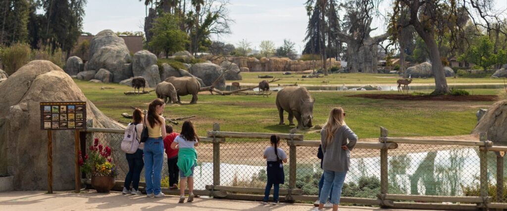 Discover The Wild Side Of California: A Day At Fresno Chaffee Zoo ...