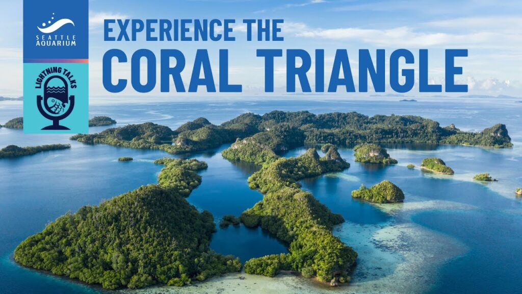 Explore The Coral Triangle: Lightning Talks - Seattle Aquarium Zoo Guide