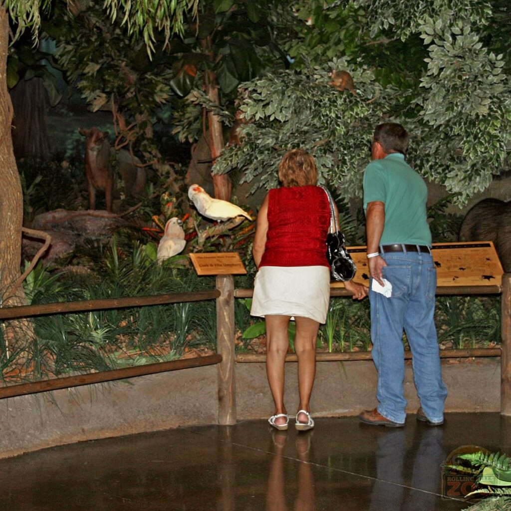 Celebrate Museum Day At Rolling Hills Zoo! - Rolling Hills Zoo Zoo Guide