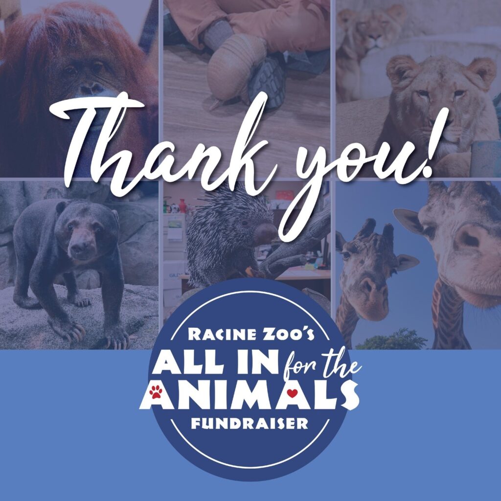 Racine Zoo: A Heartfelt Thanks From Us - Racine Zoo Zoo Guide
