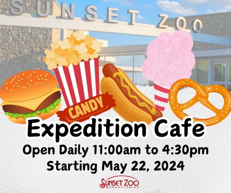 Summer Concession Stand Opens Today - Sunset Zoo Zoo Guide