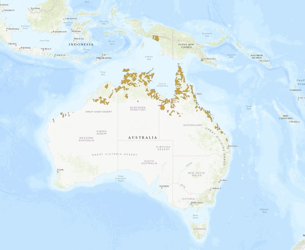 Definitive Guide To Barramundi Facts, Habitat, Conservation Status, Zoo ...