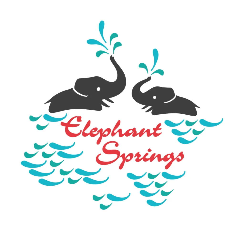 Definitive Guide To Fort Worth Zoo's Elephant Springs Exhibit Facts ...