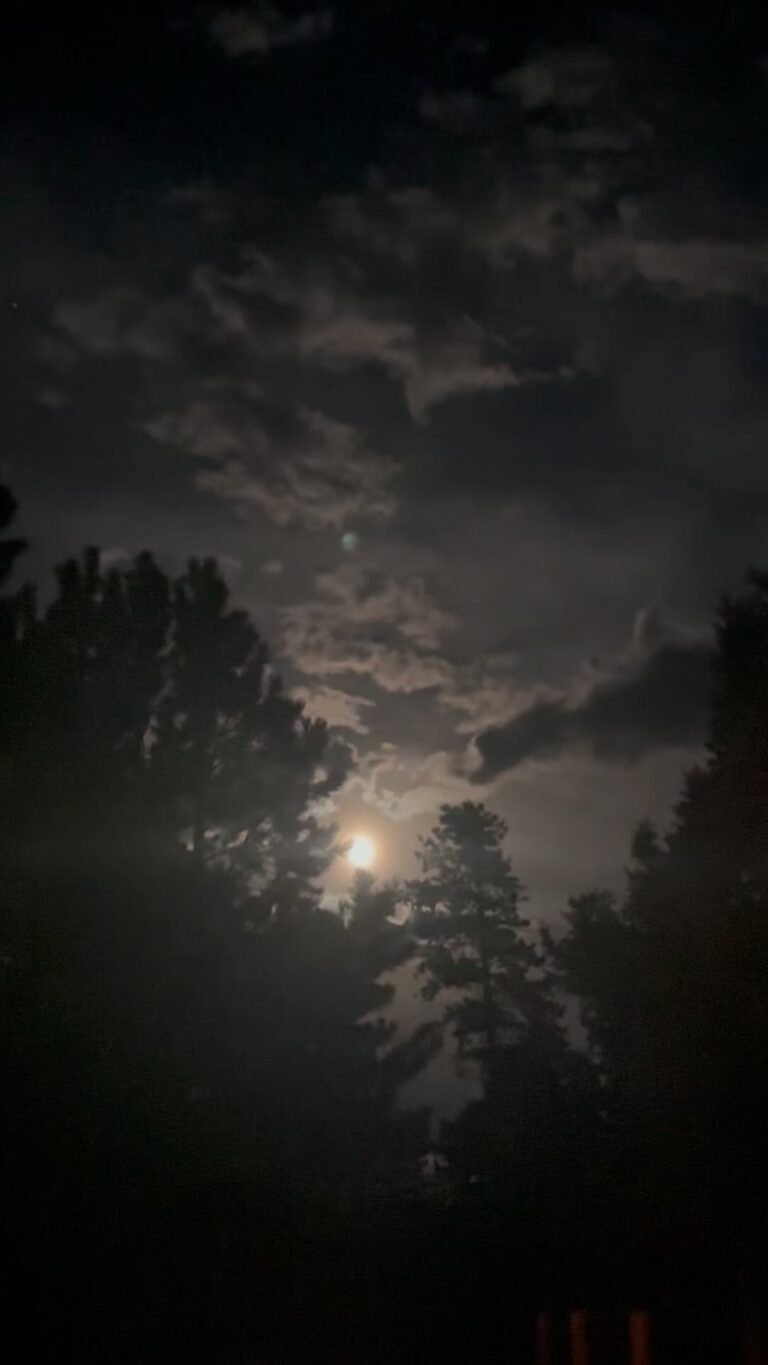 The Truth About Wolves: Do They Really Howl At The Full Moon ...