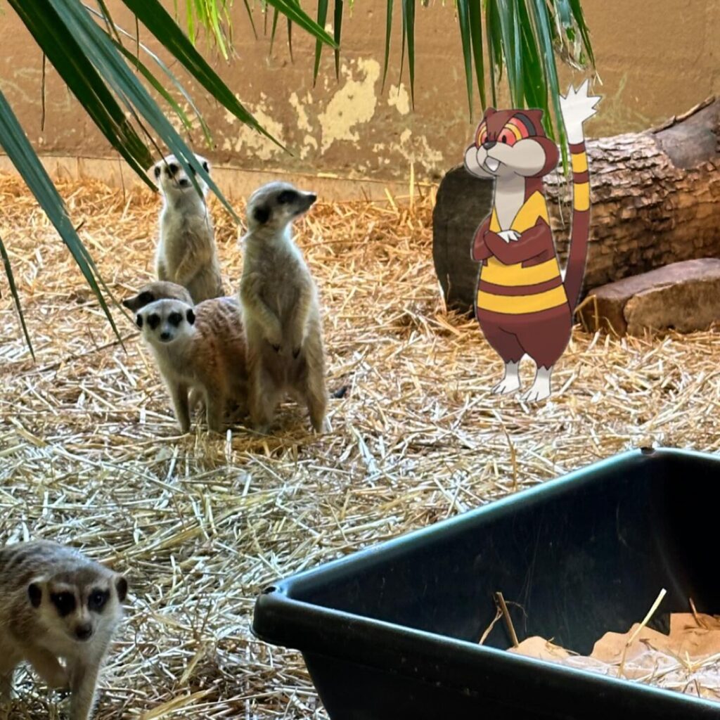 Join Pokémon Go At The Zoo Tomorrow From 11 AM To 2 PM - Staten Island ...