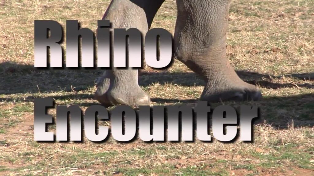 Rhino Adventure Learning Program - Fossil Rim Zoo Guide