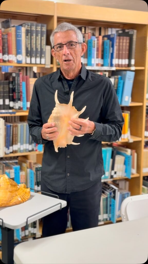 Discover The Spider Conch With Dr. José Leal Today - Bailey-Matthews ...