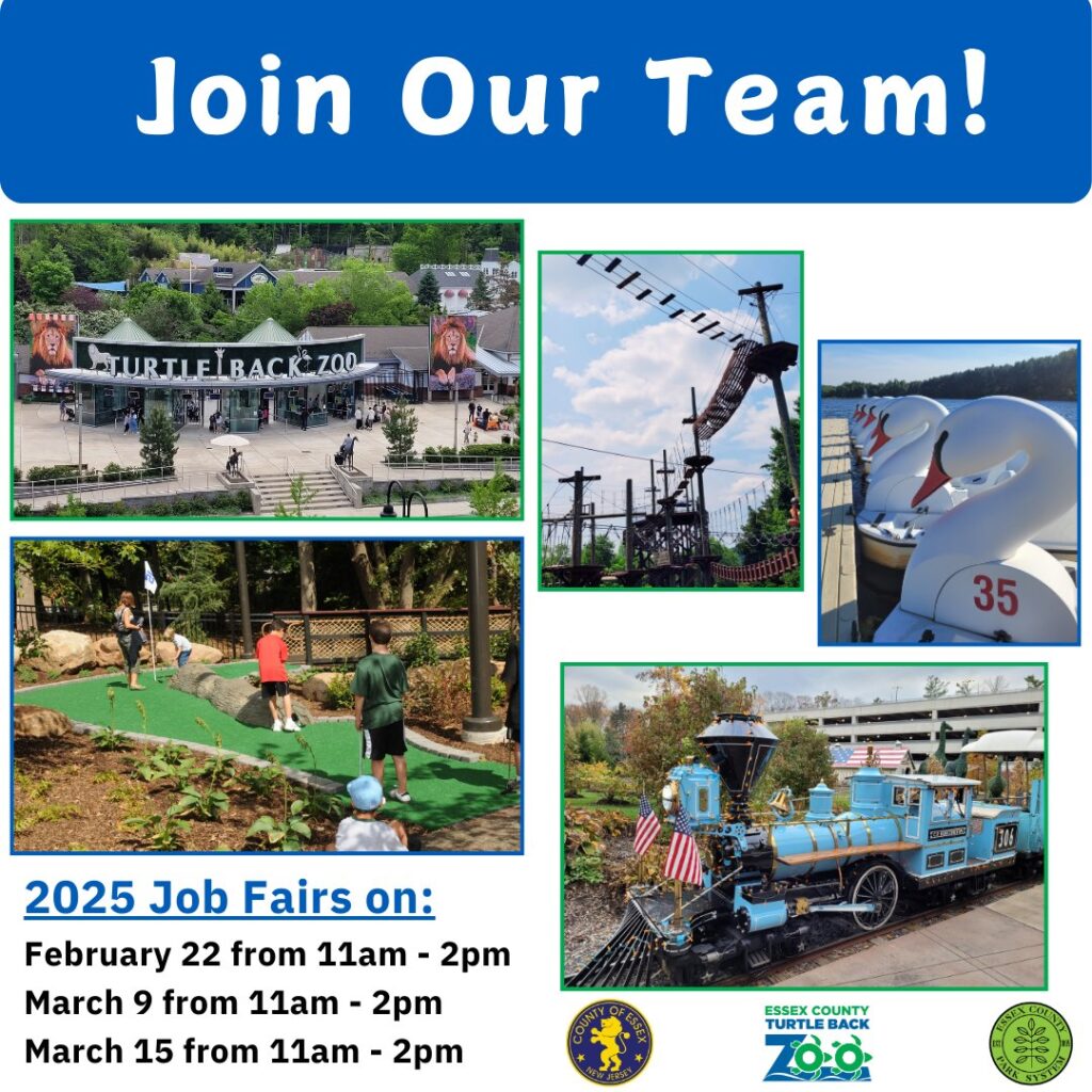Join Our Team At Essex County Turtle Back Zoo! - Turtle Back Zoo Zoo Guide