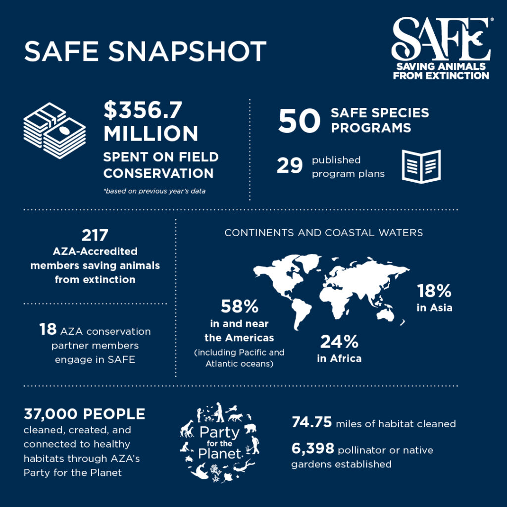 2024: A Record-Breaking Year For AZA's SAFE Program - Uncategorized Zoo ...