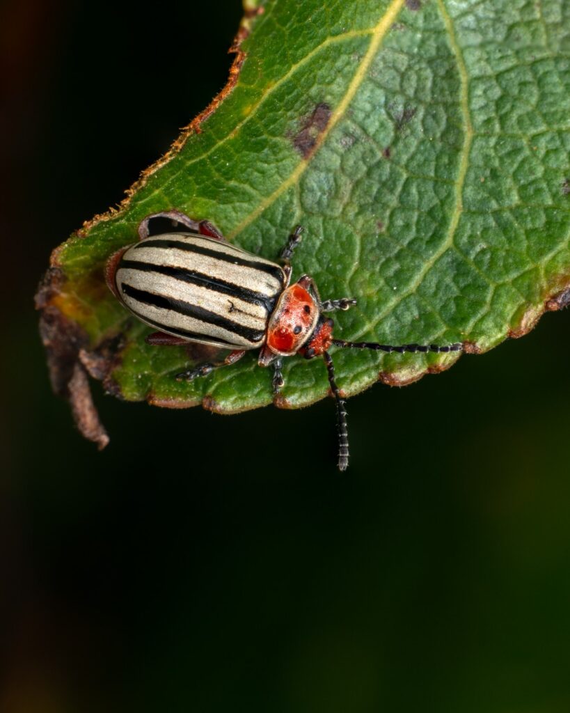Definitive Guide To Montréal Biodôme Facts, List Of Animals, Reviews ...