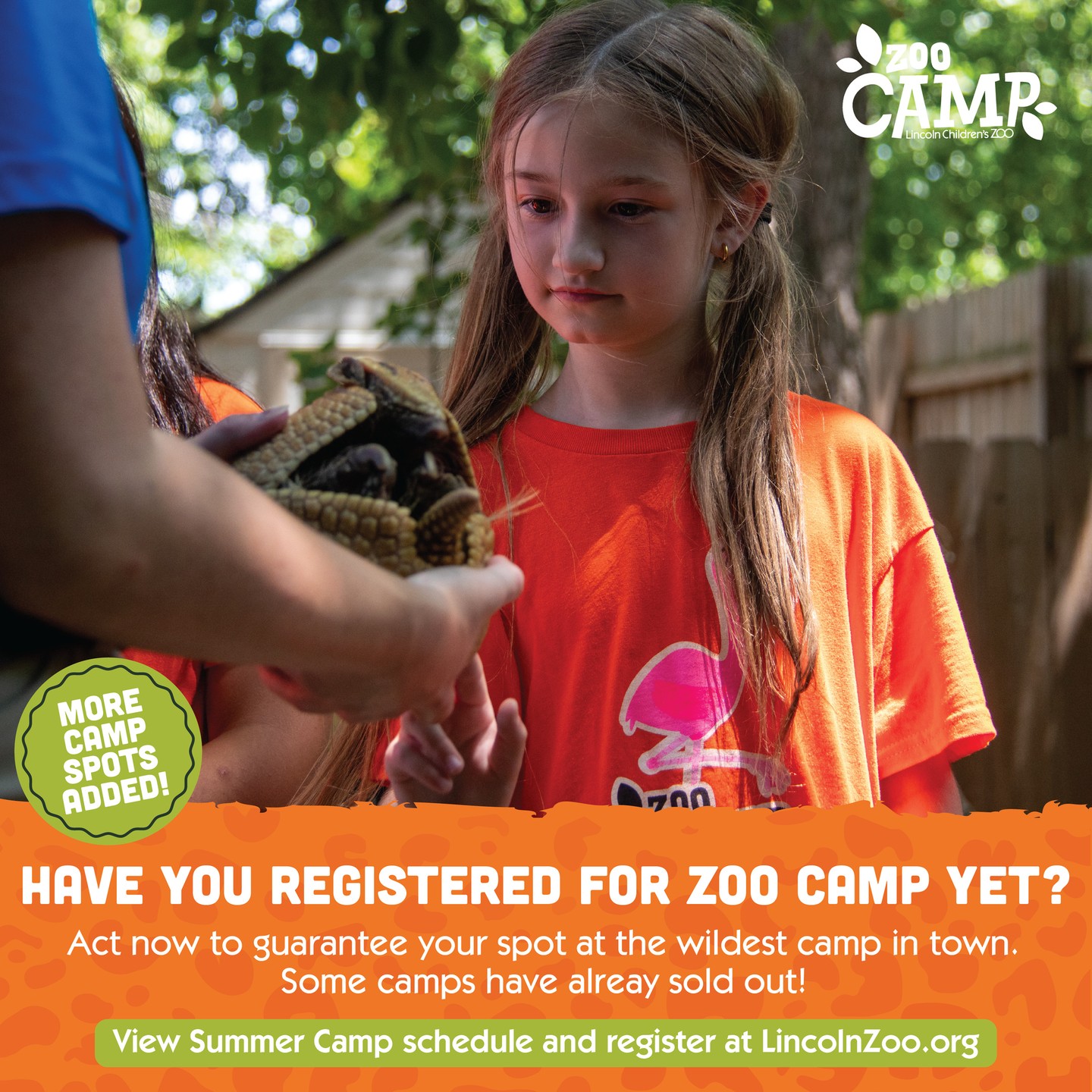 Summer Zoo Camps Selling Out Fast: Register Soon!⁠ - Lincoln Children's ...