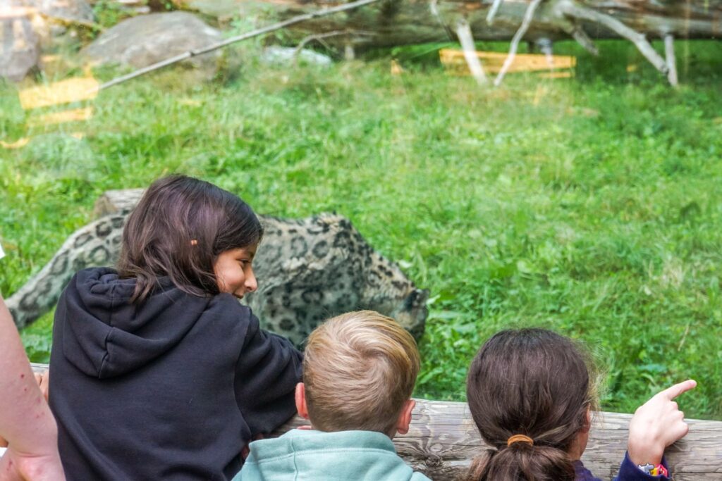 Exciting Summer Zoo Adventures Await Us This Sunshine Season! - Zoos ...
