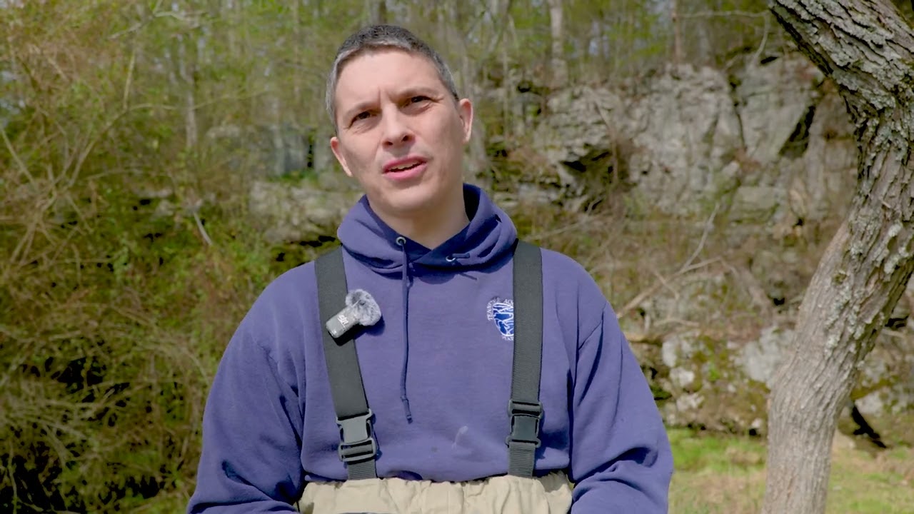 A Day Of Hope For The Barrens Topminnow - Tennessee Aquarium Zoo Guide