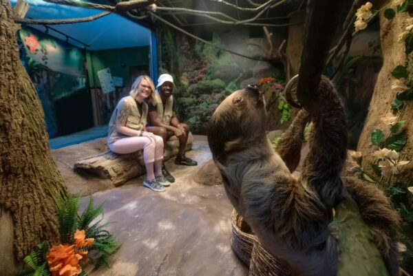 Experience The Magic: Behind-the-Scenes Sloth Encounter - Ripley's ...