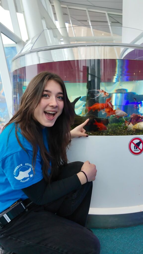 Goldfish Can Grow To Football Size: Discover More! - Ripley's Aquarium ...
