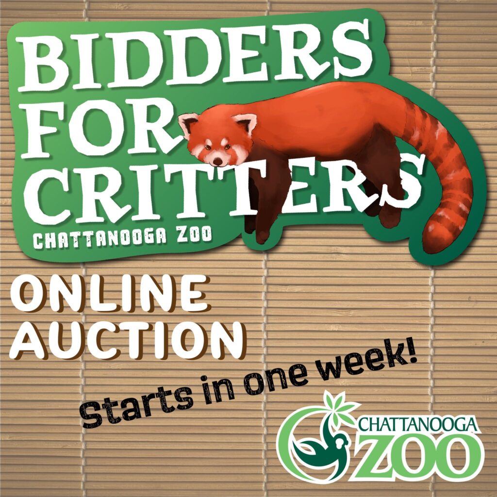 Bid On Unique Gifts To Support Lifesaving Animal Care - Chattanooga Zoo ...