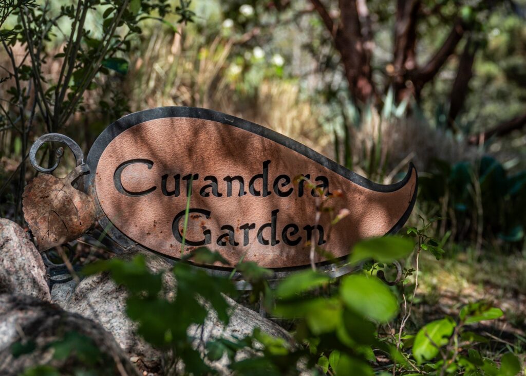 Curandera Garden Tours Return For 2025 Starting April 25! - Zoos - USA ...