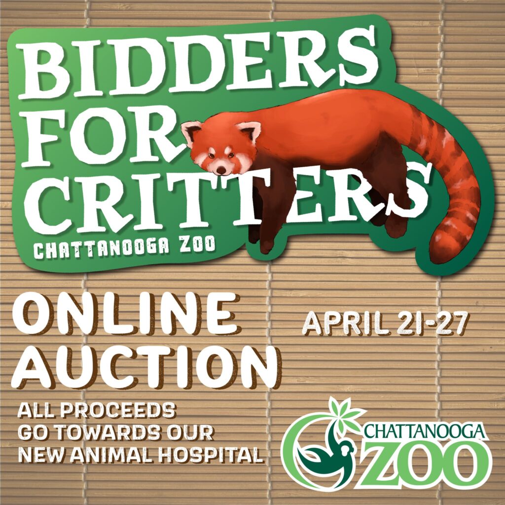 2nd Annual Online Auction Begins April 21: Bid On Animal Experiences - Chattanooga Zoo Zoo Guide