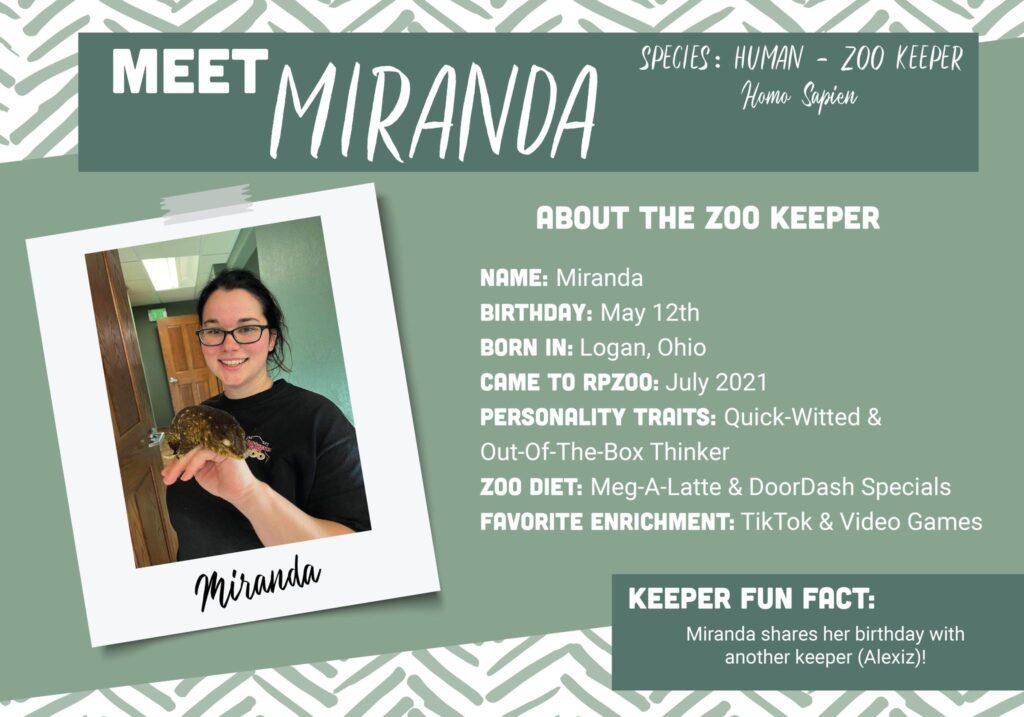 Discover The Animals At Roosevelt Park Zoo: Informational Guide ...