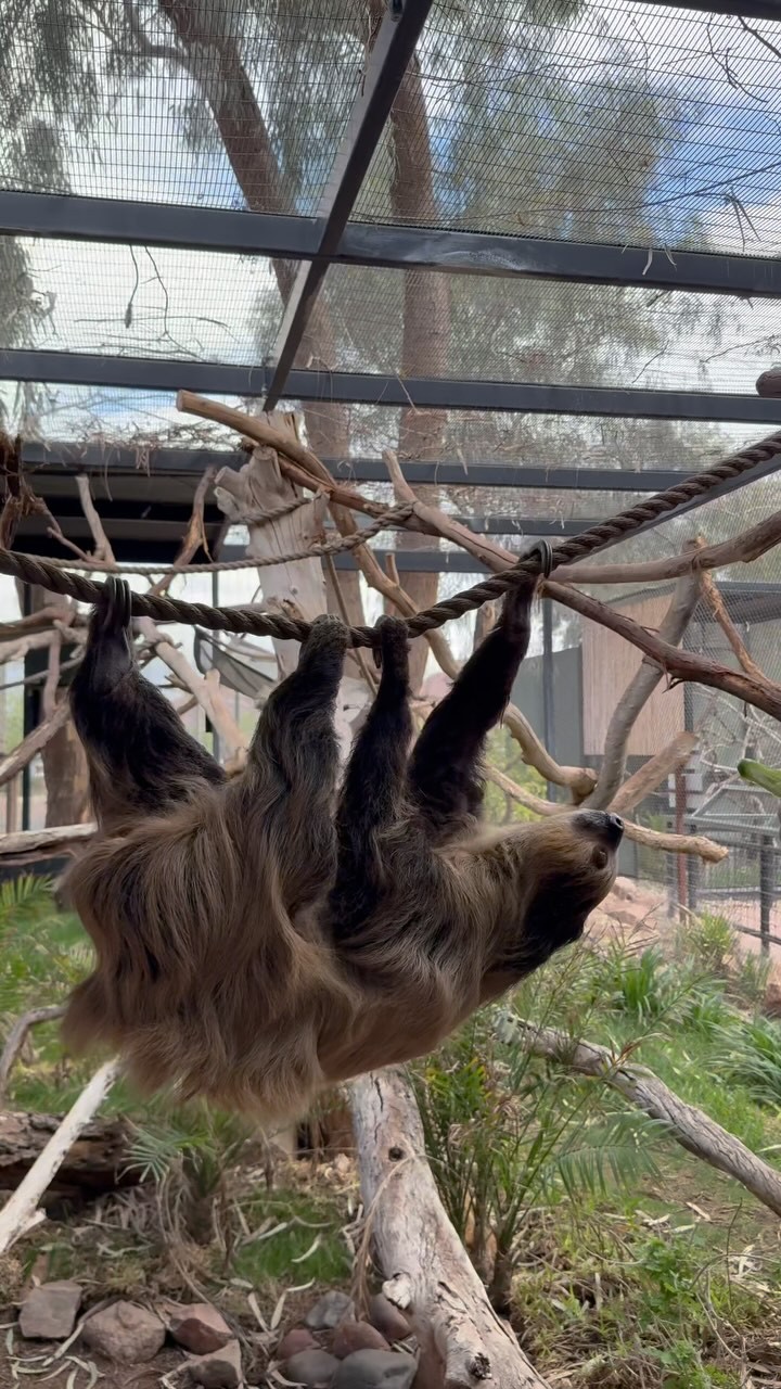 Snack Time With Fernando: An Educational Insight - Zoos - USA - Arizona ...