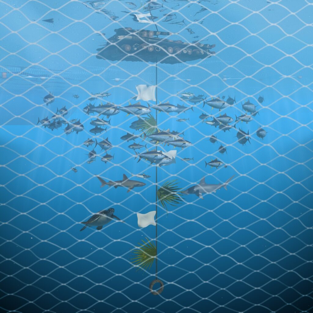 FAD: Trends Versus Lifesaving Devices - Monterey Bay Aquarium Zoo Guide