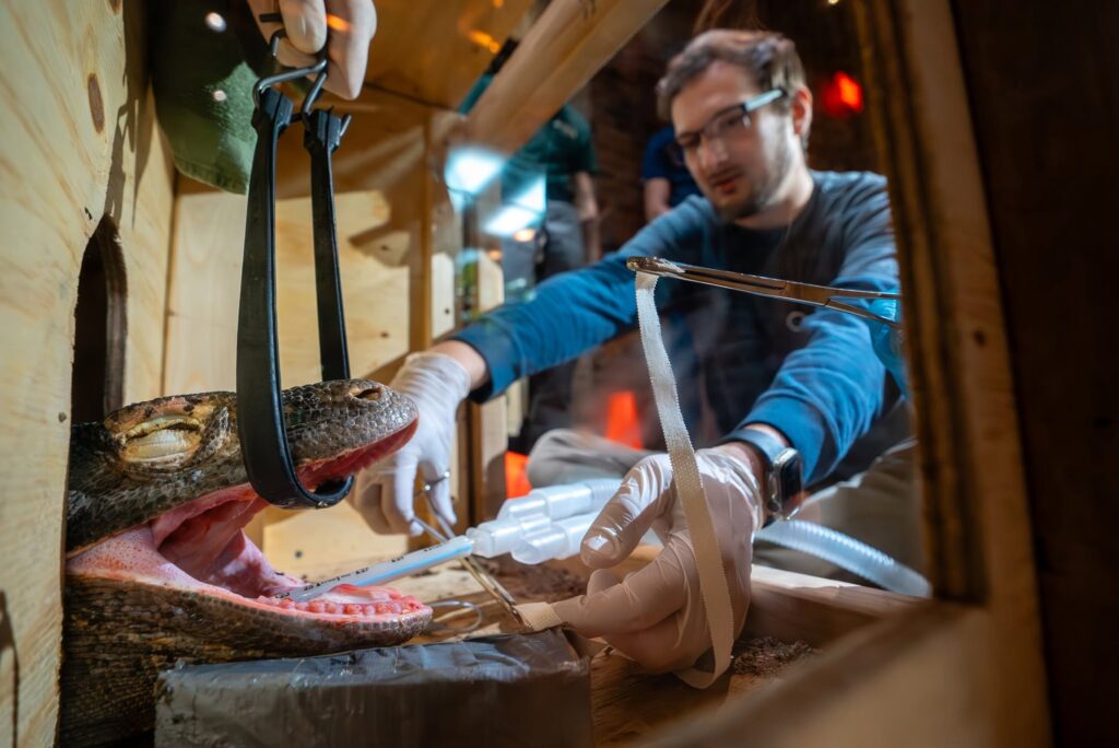 Celebrating Our Incredible Veterinary Team At The Toledo Zoo! - Zoos ...