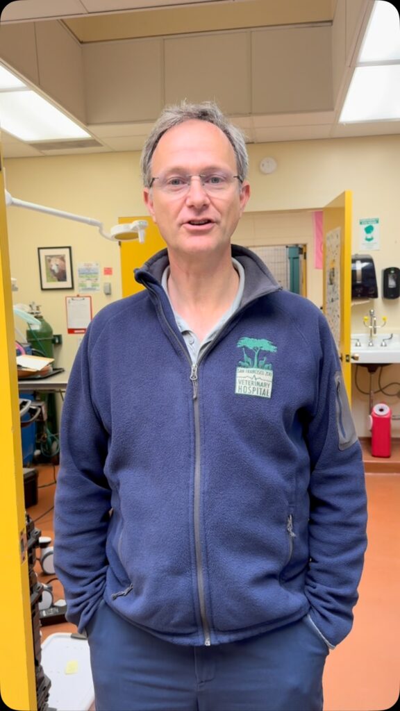 Celebrating World Veterinary Day: Insights From Our Team - Zoos - USA ...