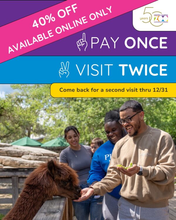 Discover & Connect: Enjoy Barnyard Buddies And More! - Central Florida ...