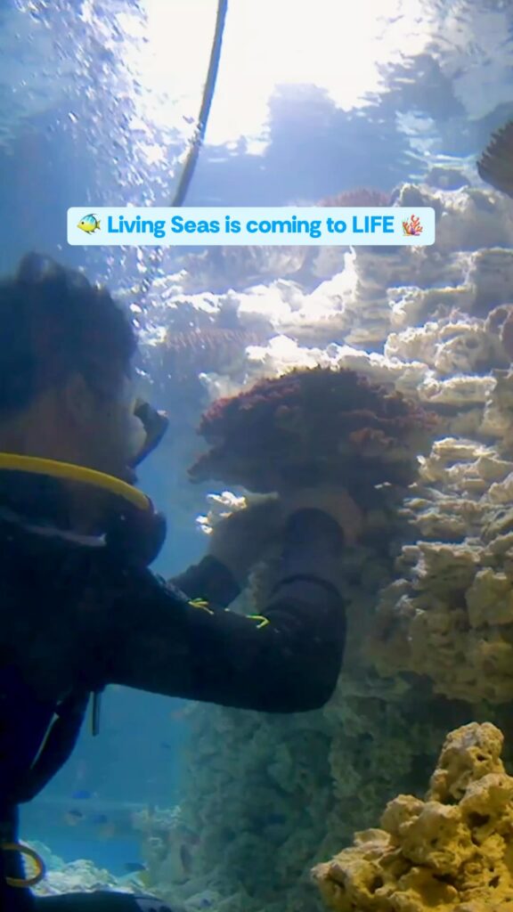 Bringing The Living Seas To Life: Animal Relocation Update - Zoos - USA ...