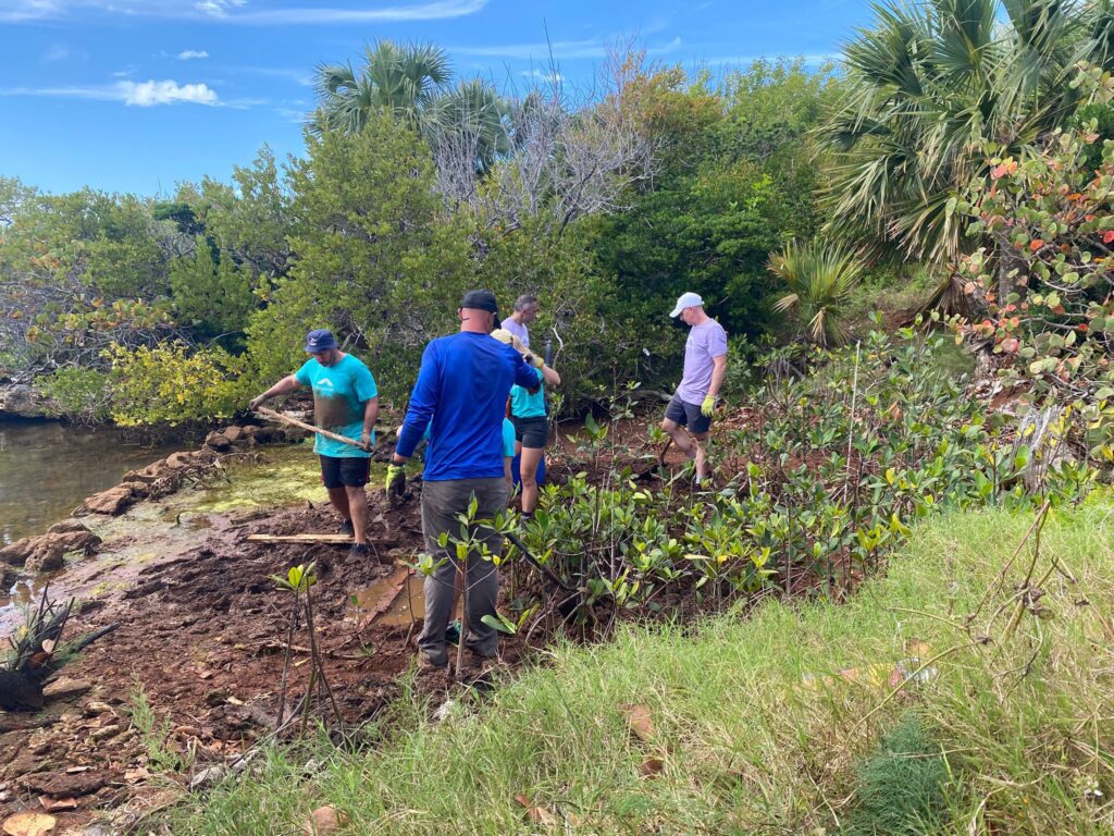 Hamilton Re Collaborates With Trunk Island Team Last Week - Zoos ...