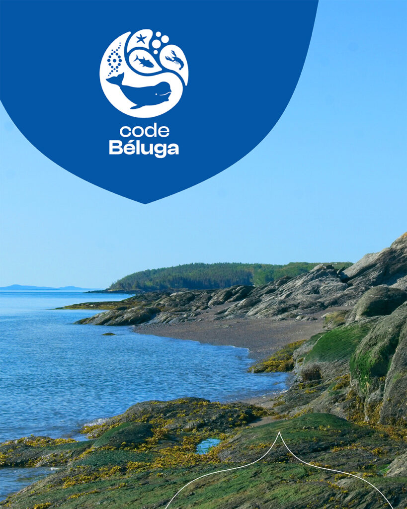 Definitive Guide To Montréal Biodôme Facts, List Of Animals, Reviews ...